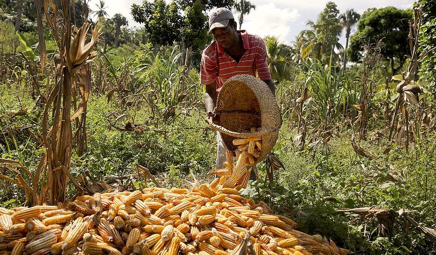 tuffet 2 - AyiboPost