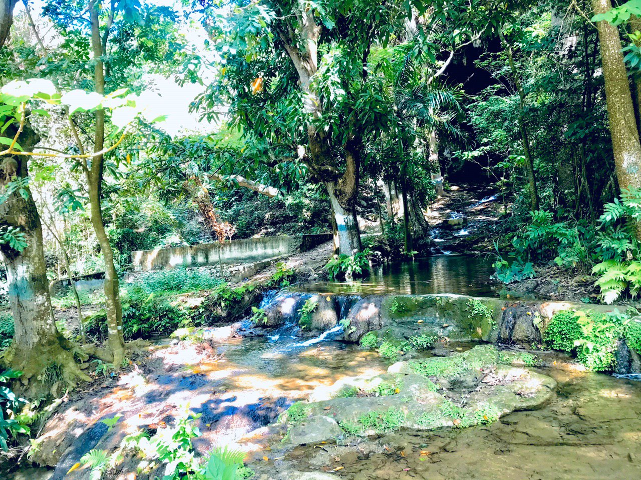 Bassin Zim à Hinche, un carrefour des croyances superstitieuses ...