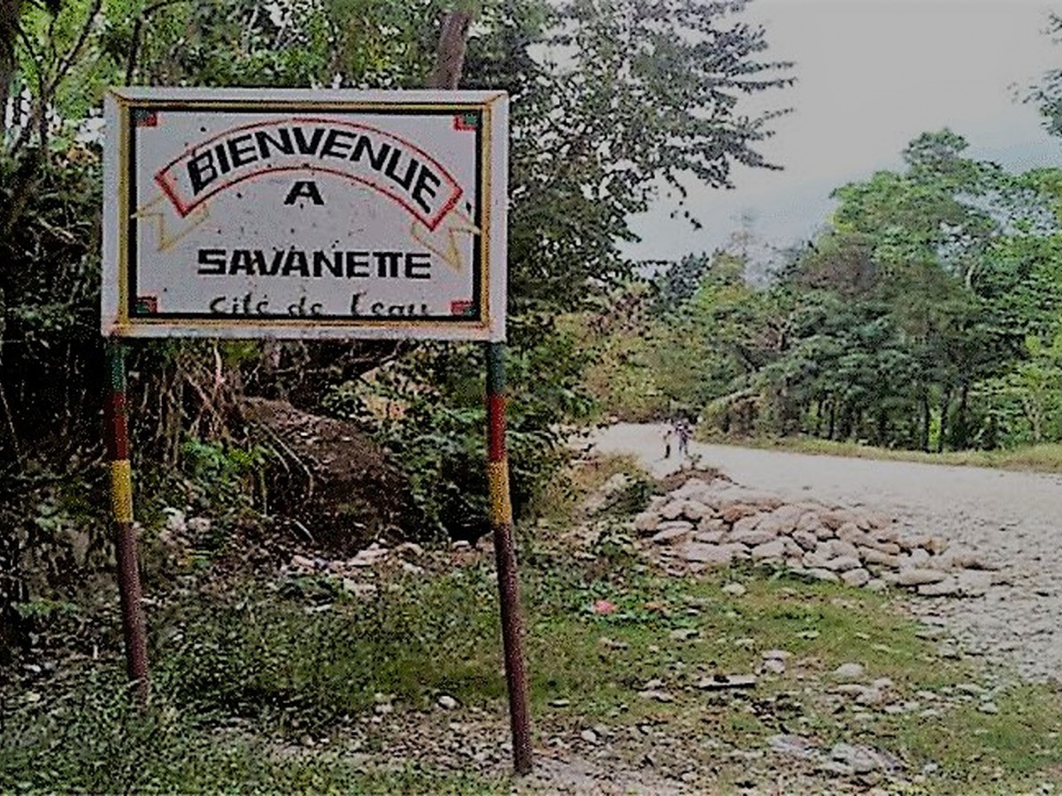 savanette – AyiboPost