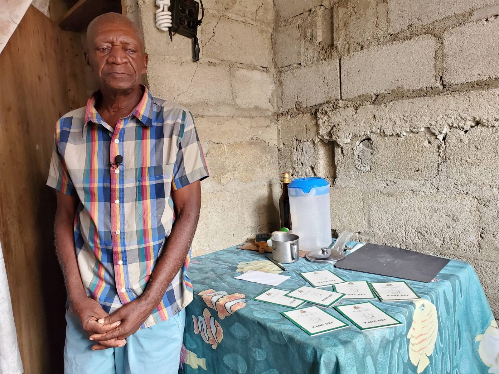 Large-scale land theft operation in the Northeast – AyiboPost