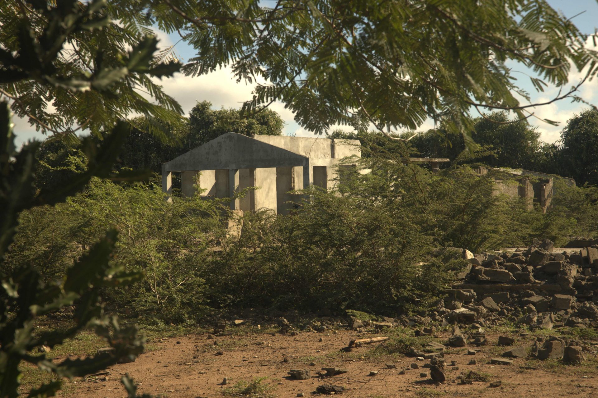 Large-scale land theft operation in the Northeast - AyiboPost