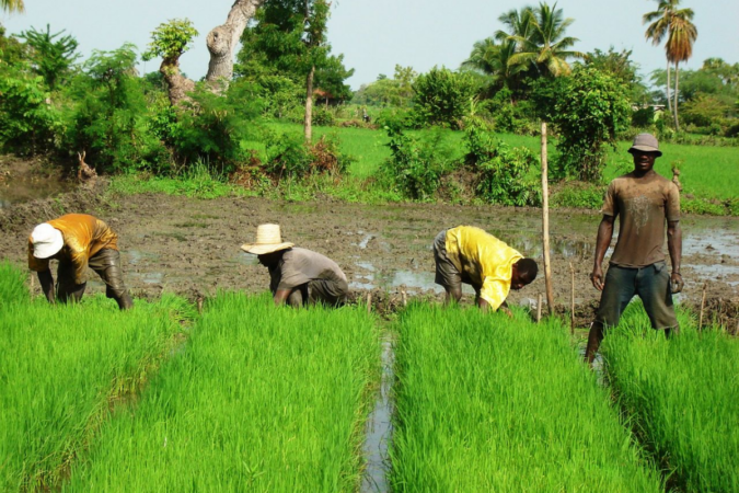 Artibonite - AyiboPost