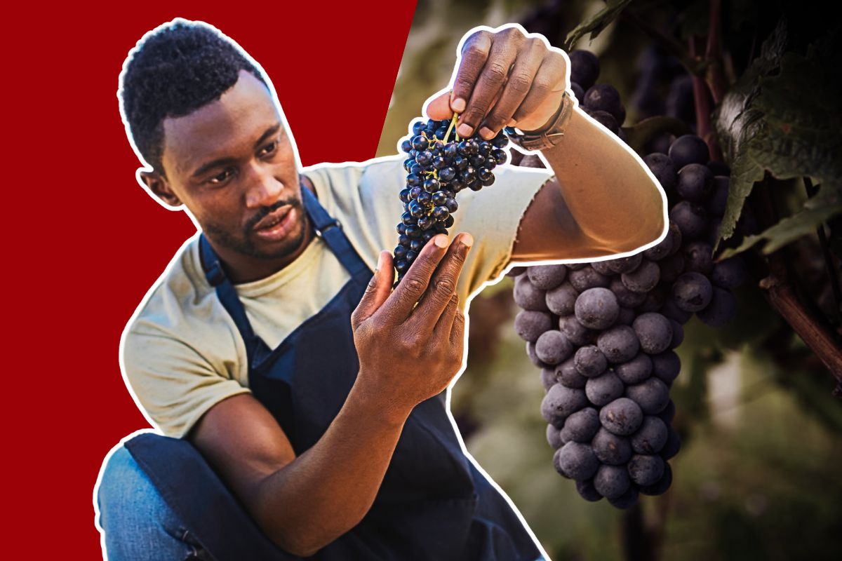 Cover article dimension appropriée (13) - AyiboPost